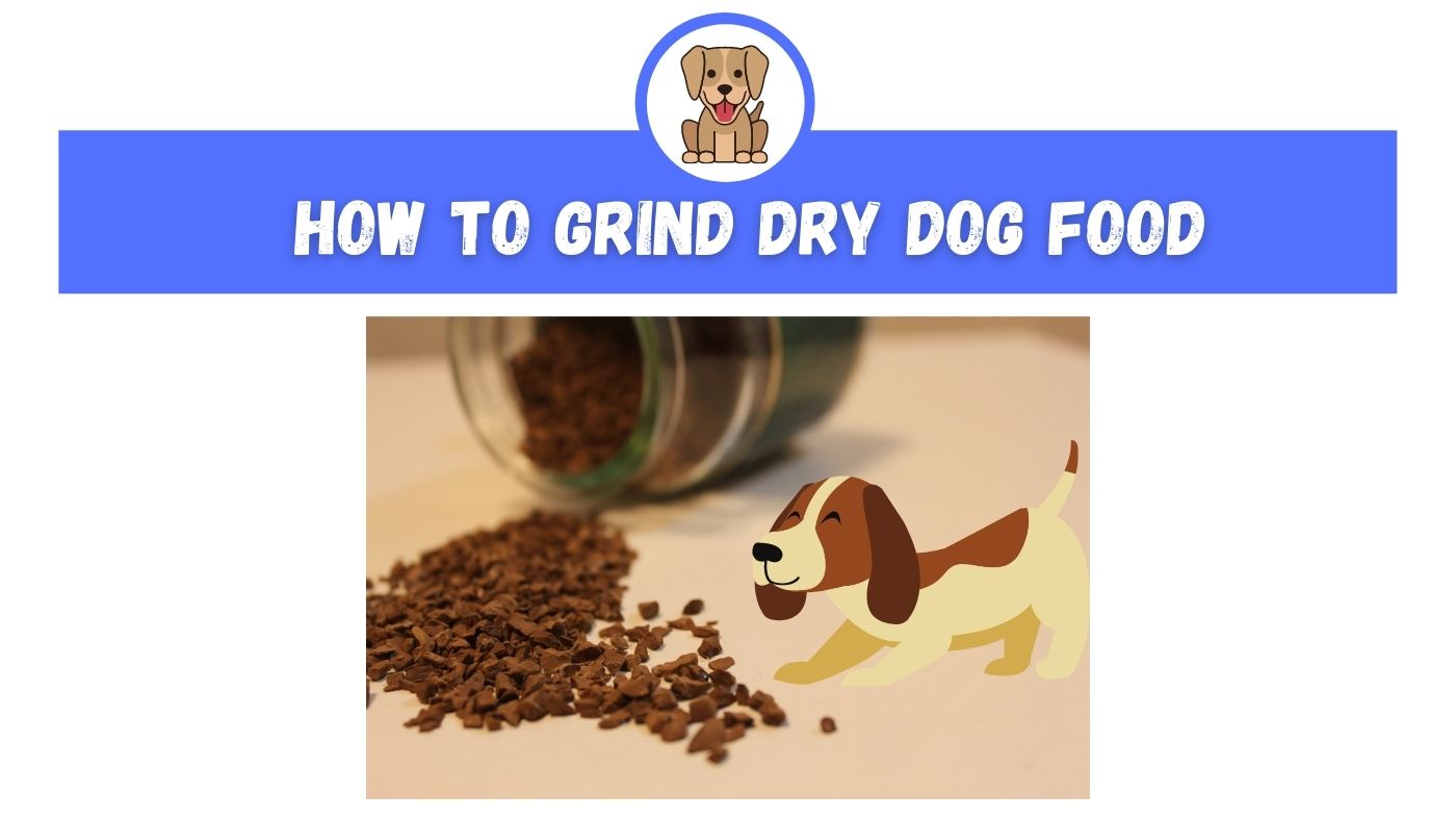 How To Grind Dry Dog Food The Canine Expert how-to-grind-dry-dog-food-the-canine-expert